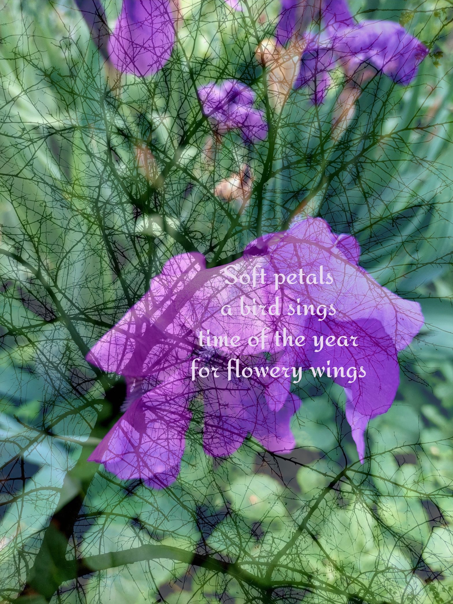 Designs - ADRIE'S WORDS